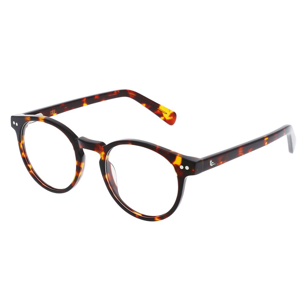 All Eyewear – Bird Eyewear