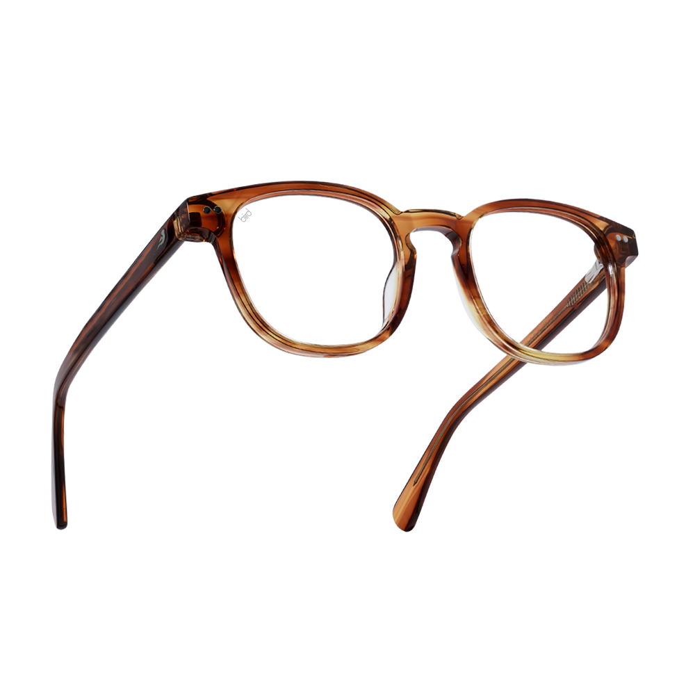 Bird Eyewear | Sustainable optical glasses frames