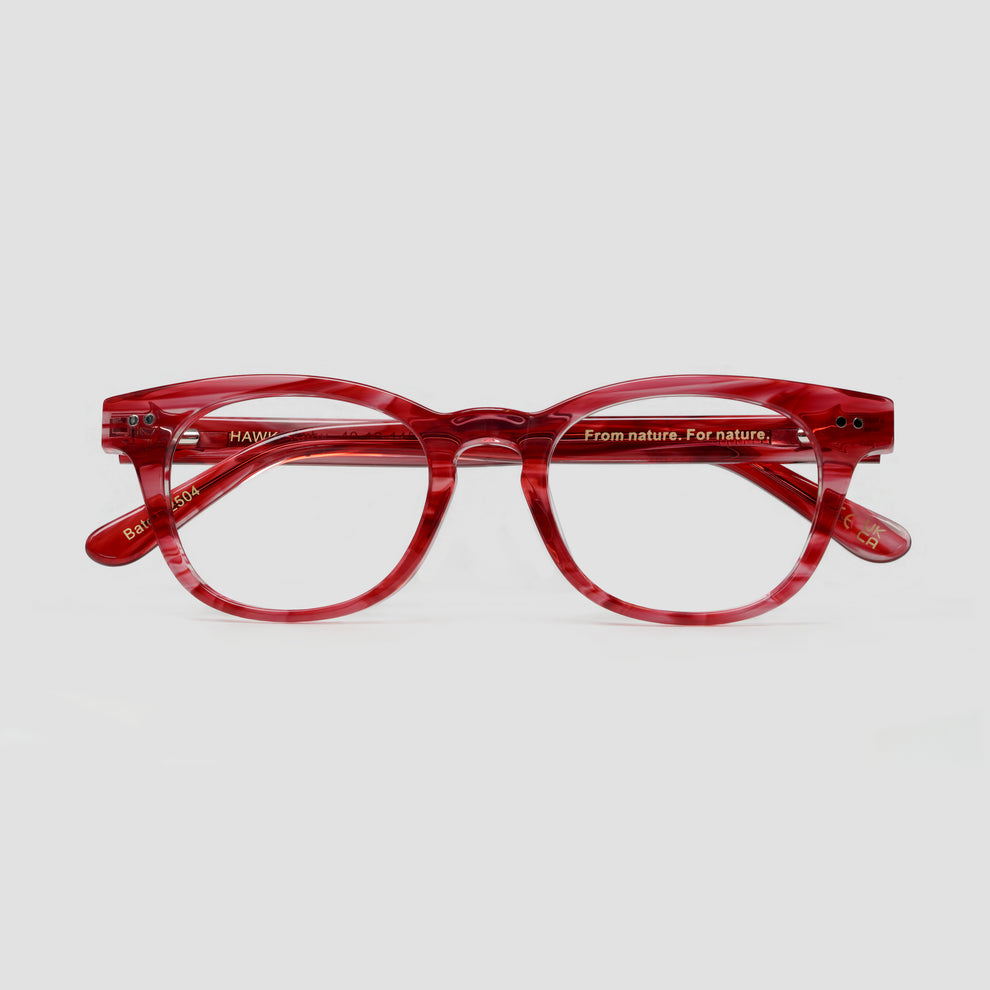 Hawk – Bird Eyewear