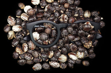 Bird Eyewear | Sustainable Optical Glasses Frames